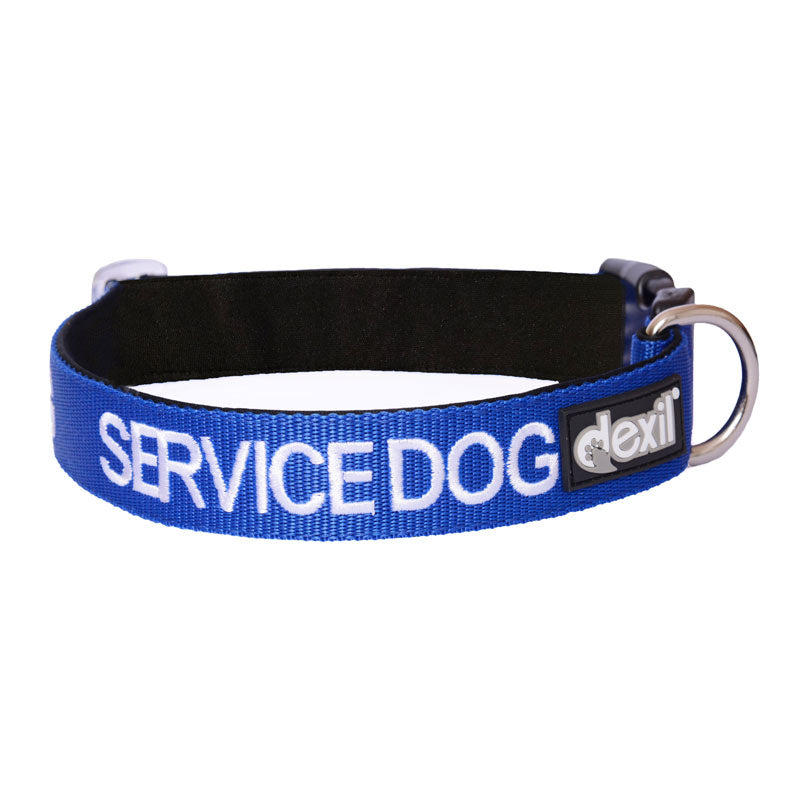 Service – friendlydogcollars