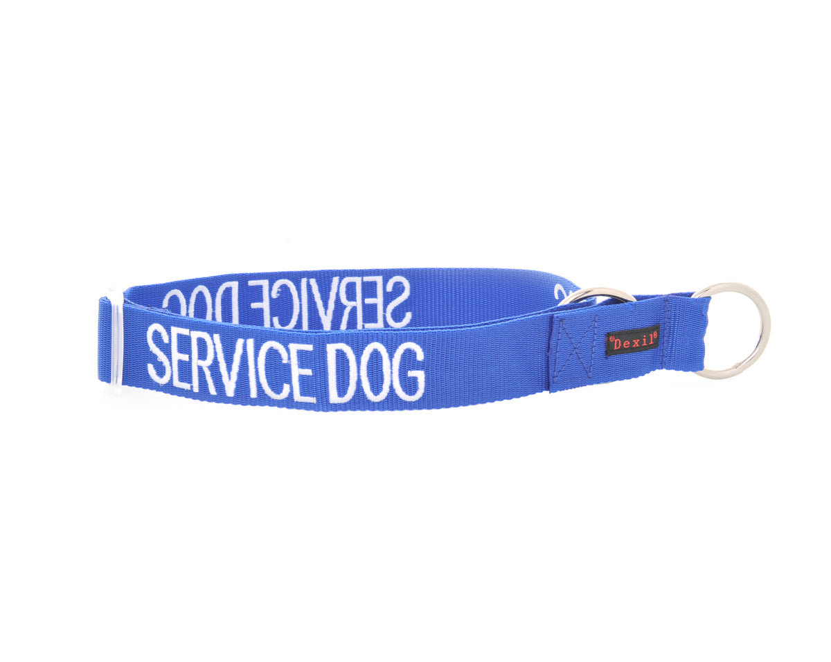 Service Dog Lead and Collar – friendlydogcollars